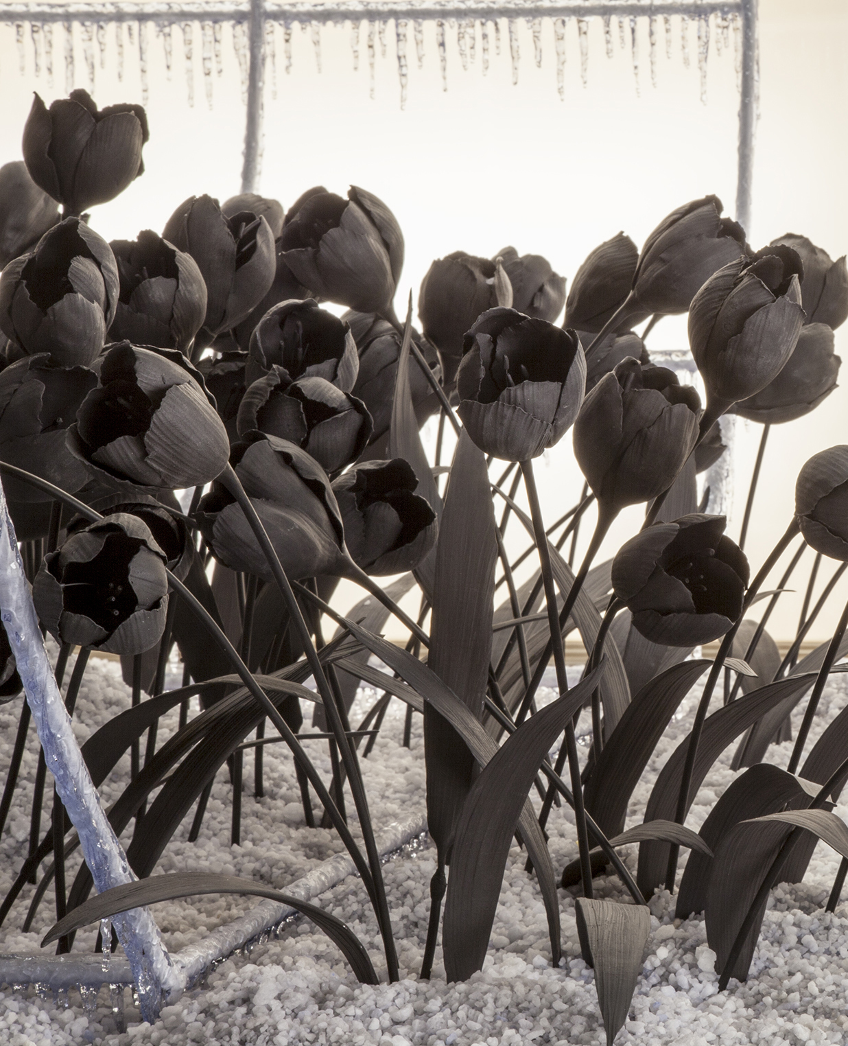 DETAIL_Rain Harris – KC STUDIO